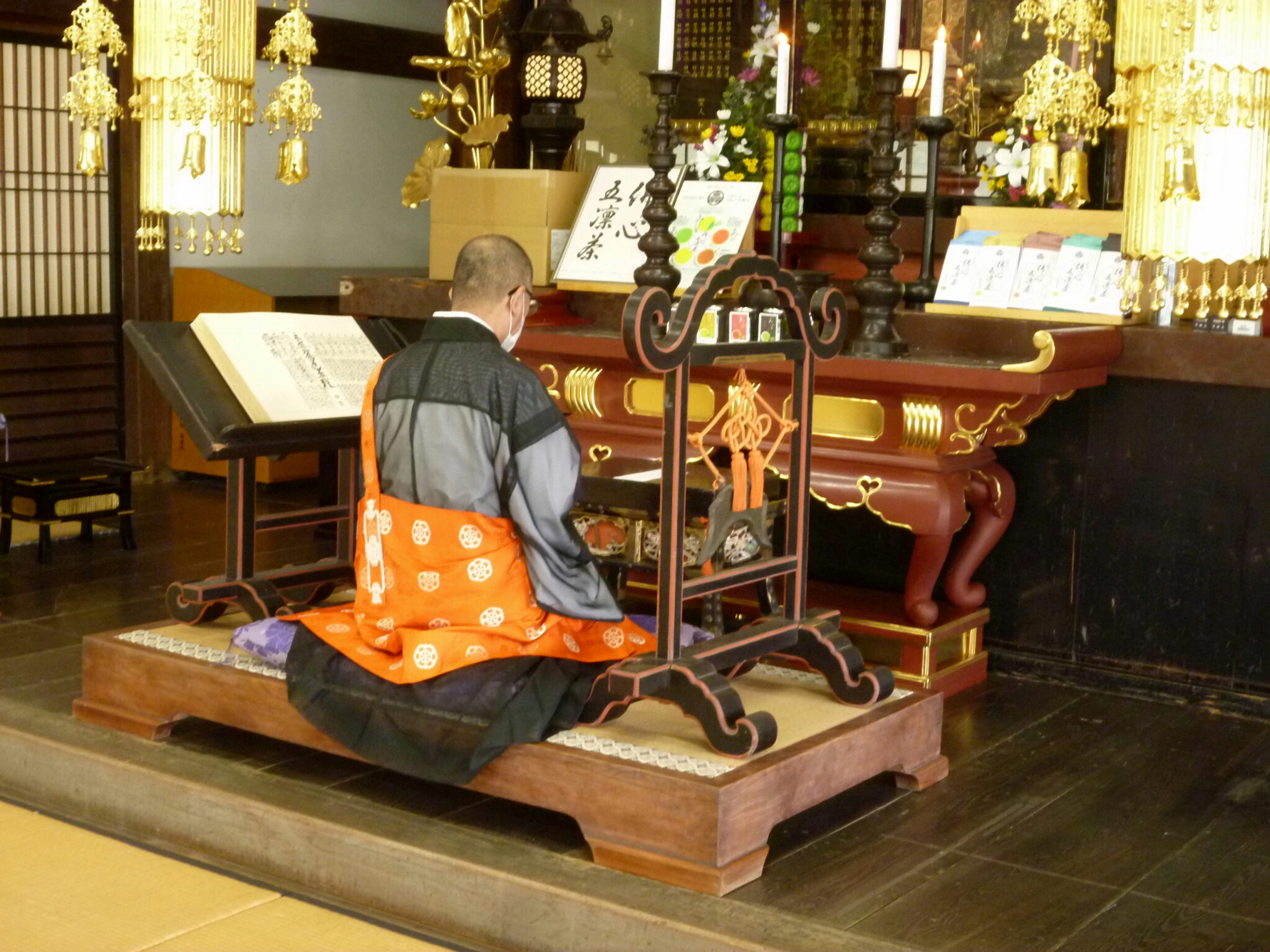 IVS2025:GO-RIN | Shizuoka Matcha Therapy